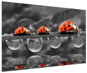 Obraz slunéček sedmitečných s deštníky (120x80 cm)