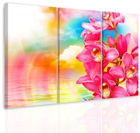 Malvis ® Vícedílný obraz - Orchidej Velikost: 90x60 cm