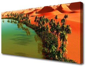 Obraz na plátně Jezero Poušť Palmy 100x50 cm
