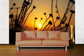 DIMEX | Samolepicí vliesová fototapeta na zeď Suché pole květů MA-5-1395 | 375 x 250 cm | černá, žlutá, oranžová
