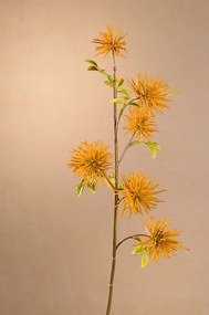 Paramit DRY MINI XANTHIUM Aranžovací květina žlutá 53 cm