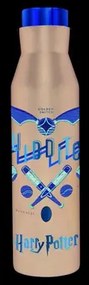 STOR Termolahev Harry Potter Diabolo / Termolahev / 580 ml / nerezová