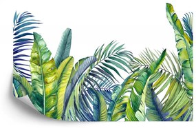 Fototapeta Zelené A Modré Tropické Rostliny Vliesová tapeta 104x70.5