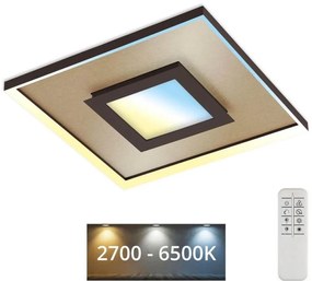 Briloner 3641-017 - LED Stmívatelné svítidlo FRAME LED/30W/230V 2700-6500K + DO