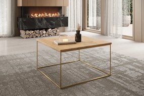ADRK Furniture Konferenční stolek Roni CT-RON-G-OL