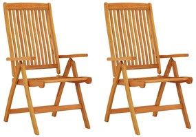 Skládací židle 2 ks, masivní dřevo, eukalyptus 316069