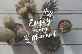 Samolepící tapeta s citátem - Enjoy every moment
