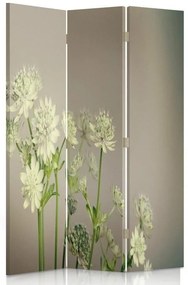 Ozdobný paraván Polní květiny rostliny - 110x170 cm, třídílný, obustranný paraván 360°