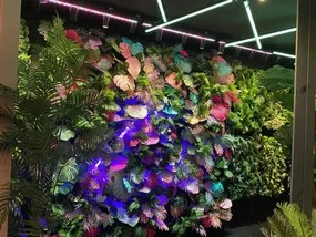Vertical garden Mamba