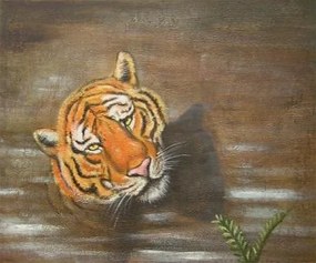 Tonoucí tygr - 60 x 90 cm