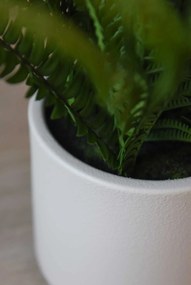 Umělá kapradina v květináči IRATZEA, plast, výška 55 cm, zelená