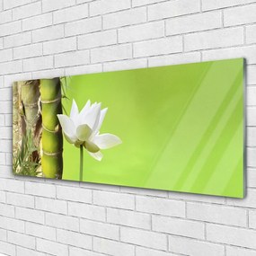akrylový obraz Bambus Stonek Rostlina Příroda 125x50 cm