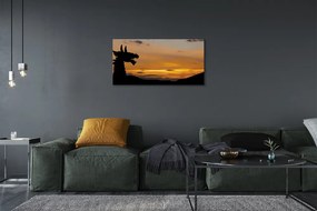 Obrazy na plátně Slunce oblohu drak 140x70 cm