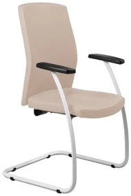MAYER - Zdravotnická návštěvní židle PRIME 253