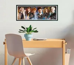 Clementoni 39874 Panoramatické puzzle Harry Potter 1000 dílků