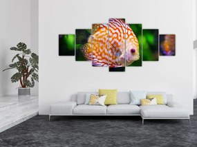 Obraz ryby (210x100 cm)