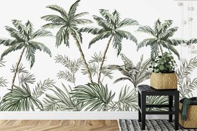 Fototapeta Palmy A Tropické Rostliny Samolepící tapety 180x120