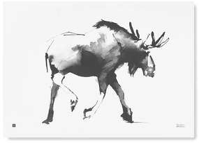 Plakát Elk 70x50