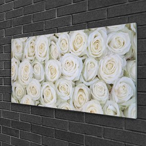 Obraz na skle Růže Květiny Rostlina 140x70 cm