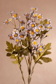 Paramit DRY MINI DAISY Aranžovací květina modrá 61 cm