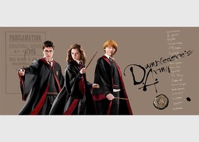 Dětská vliesová fototapeta na zed' Harry Potter | 170 x 75 cm | DFTDNH5515
