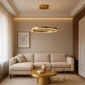 Toolight Toolight, LED stropní osvětlení 60cm, 60W, 3000K, LHJ051-CP1 C, zlatá matná, OSW-50025