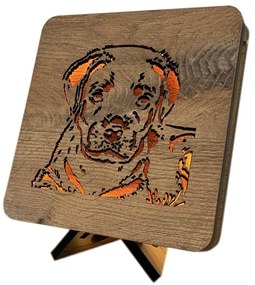 Li-Go "Štěně" lampa 19x19cm provedení povrchu: dub světlý