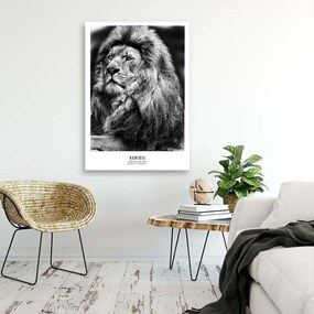 Obraz na plátně Afrika Lvi Zvířata - 80x120 cm