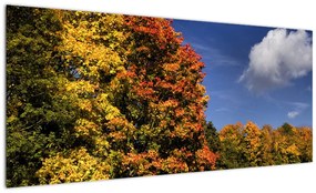 Podzimní stromy - moderní obraz (100x40cm)