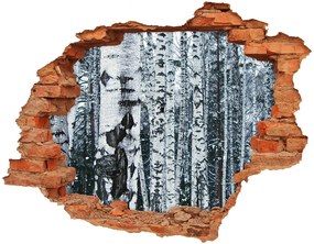 Wallmuralia Samolepící díra na stěnu Stromy břízy 90x70 cm