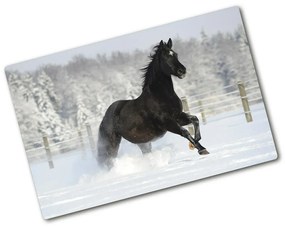 Wallmuralia Kuchyňská deska skleněná Kůň ve cvalu sníh 80x52 cm