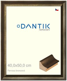 DANTIK rámeček 40x50 | Ferrosa bronzová (Sklo Čiré)