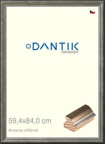 DANTIK rámeček 59,4x84 | ANIVERSA stříbrná (Plexi Čiré)