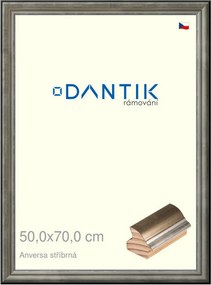 DANTIK rámeček 50x70 | ANIVERSA stříbrná (Plexi Čiré)