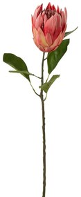 OnaDnes -20% Umělá květina J-line Proteas 67 cm