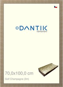 DANTIK rámeček 70x100 | Golf champagne (Plexi Čiré)
