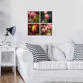 Postershop Obraz na plátně: Tulipány (1) - set 4ks 25x25cm