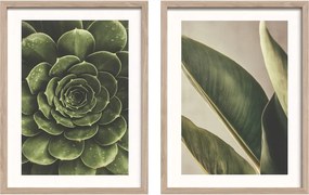Tištěné obrazy v sadě 2 ks s rámem 30x40 cm Beauty Green – Styler