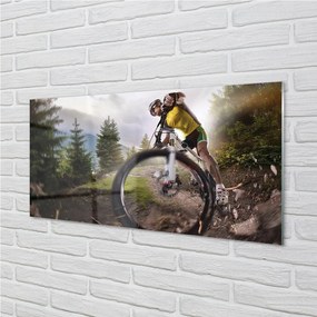 Obraz na skle Cloud na horském kole 125x50 cm