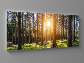 Liox Obraz ráno v lese Rozměr: 60 x 25 cm