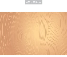 obrazová tapeta trä Velikost: 420 × 270 cm