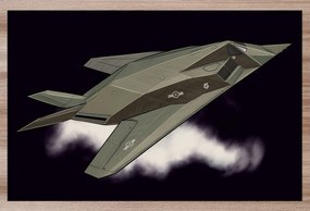 Prostírání F-117 Nighthawk