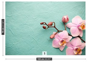 Fototapeta Orchid Pink 104x70