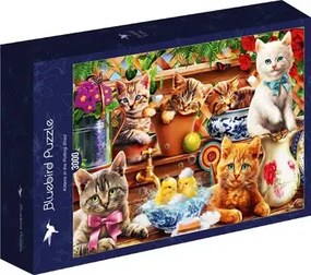 BLUEBIRD Puzzle Koťata v kůlně / 3000 dílků / od 14 let