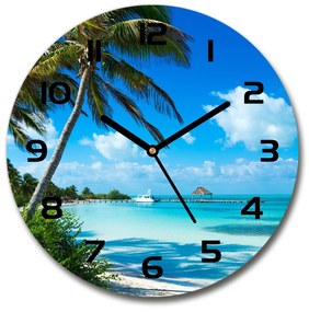 Wallmuralia Skleněné hodiny na stěnu Tropická pláž fi 30 cm