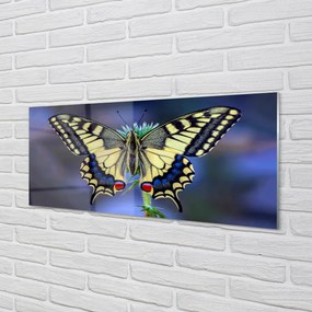 akrylový obraz Motýl na květině 120x60 cm