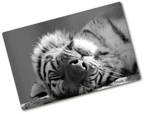 Wallmuralia Kuchyňská deska skleněná Spící tygr 80x52 cm