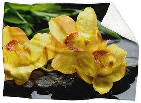 IMPAR Fleecová deka Žluté květy 150x120 cm (Rozměr : 150 x 120 cm, Podšití beránkem: ANO)