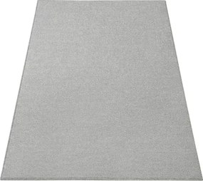 Koberec Birch 73 popelově šedý