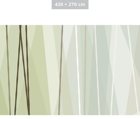 obrazová tapeta bonia Velikost: 270 × 270 cm
